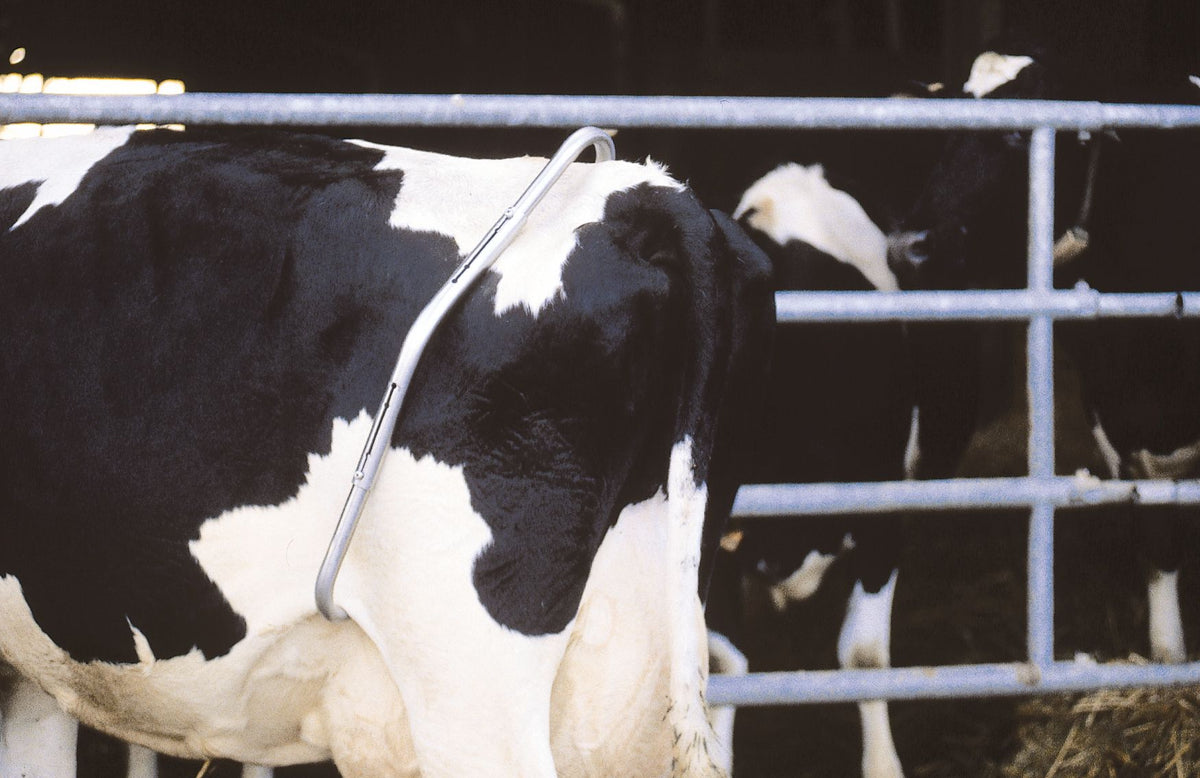 Understanding Anti-Kick Bars: A Must-Read for Horse and Cattle Handler